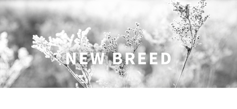 New breed