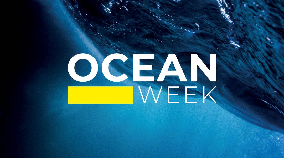 Ocean Week - Pelle P